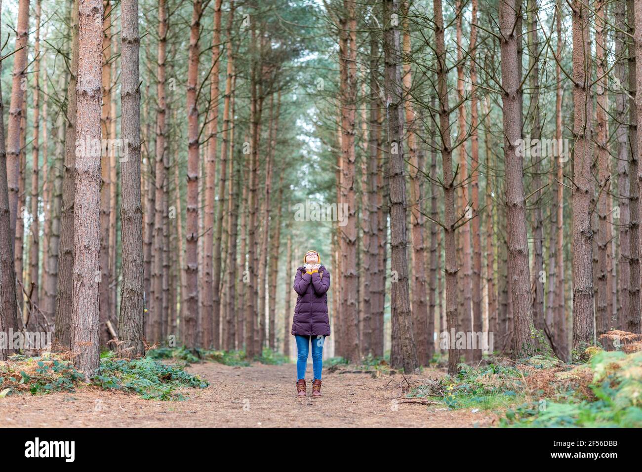 Clothing in trees hi-res stock photography and images - Alamy