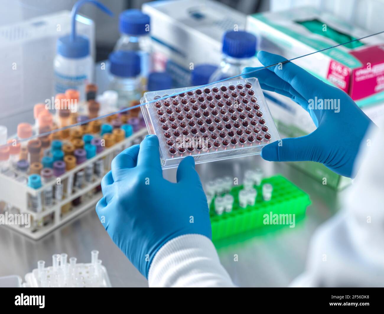 Scientist holding blood samples in multi well plate at laboratory Stock ...