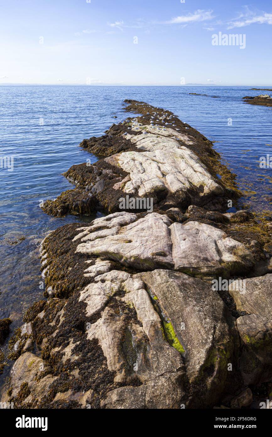 Rock formation in the fishing village of Pittenweem in the East Neuk of ...