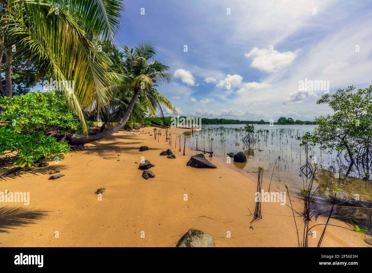 Indonesia, Bintan Island, Tropical beach Stock Photo - Alamy