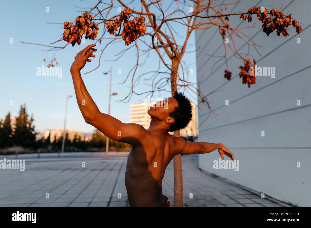 Shirtless man dancing against bare tree in city Stock Photo - Alamy
