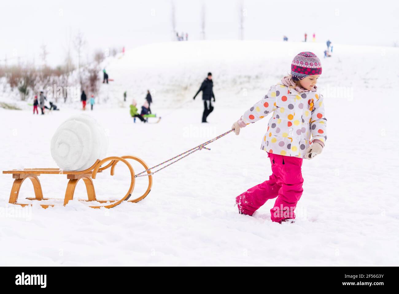 Pulling sled hi-res stock photography and images - Alamy