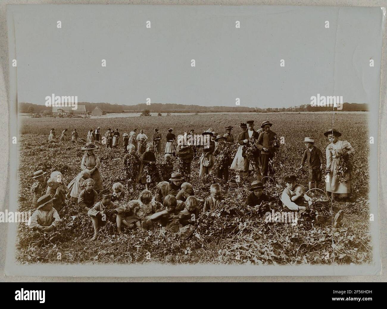 Reinfeld hi-res stock photography and images - Alamy