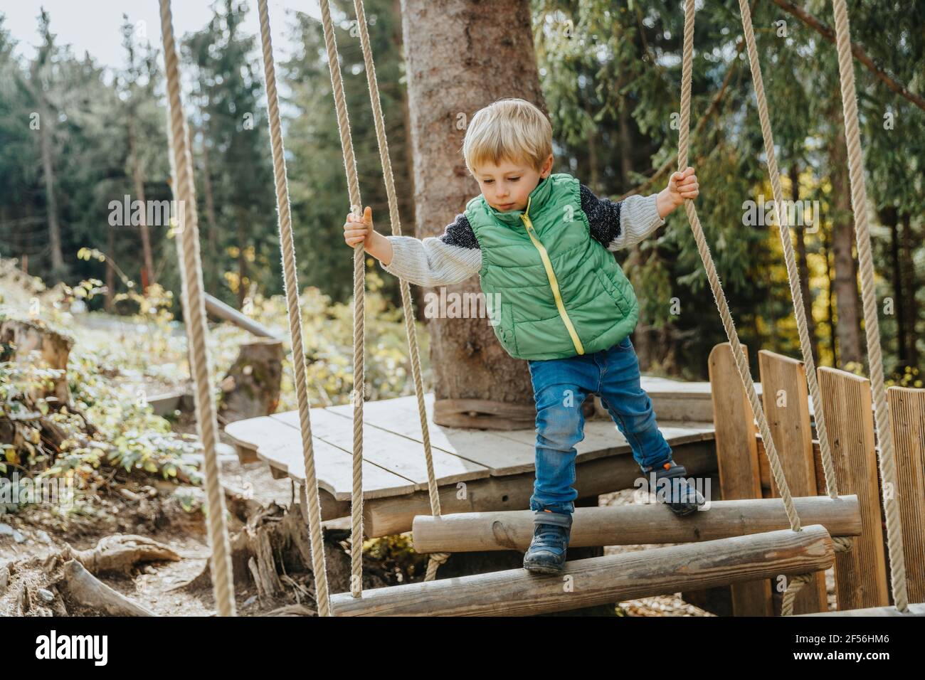 Boy doing high rope course forest salzburger land hi-res stock ...