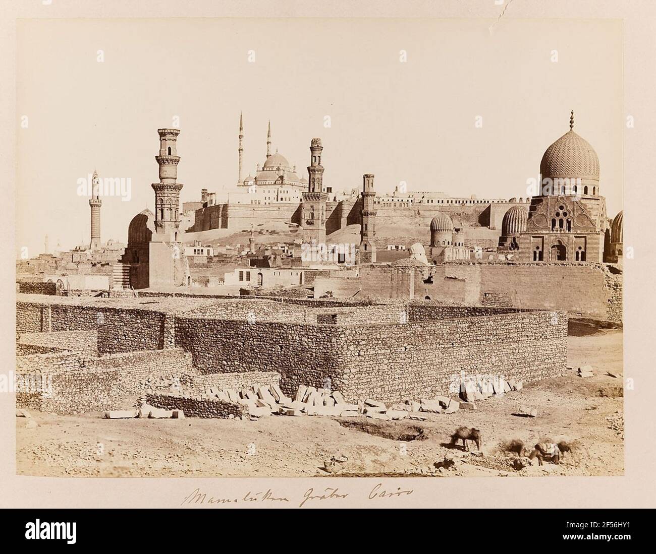 Mameluk hi-res stock photography and images - Alamy