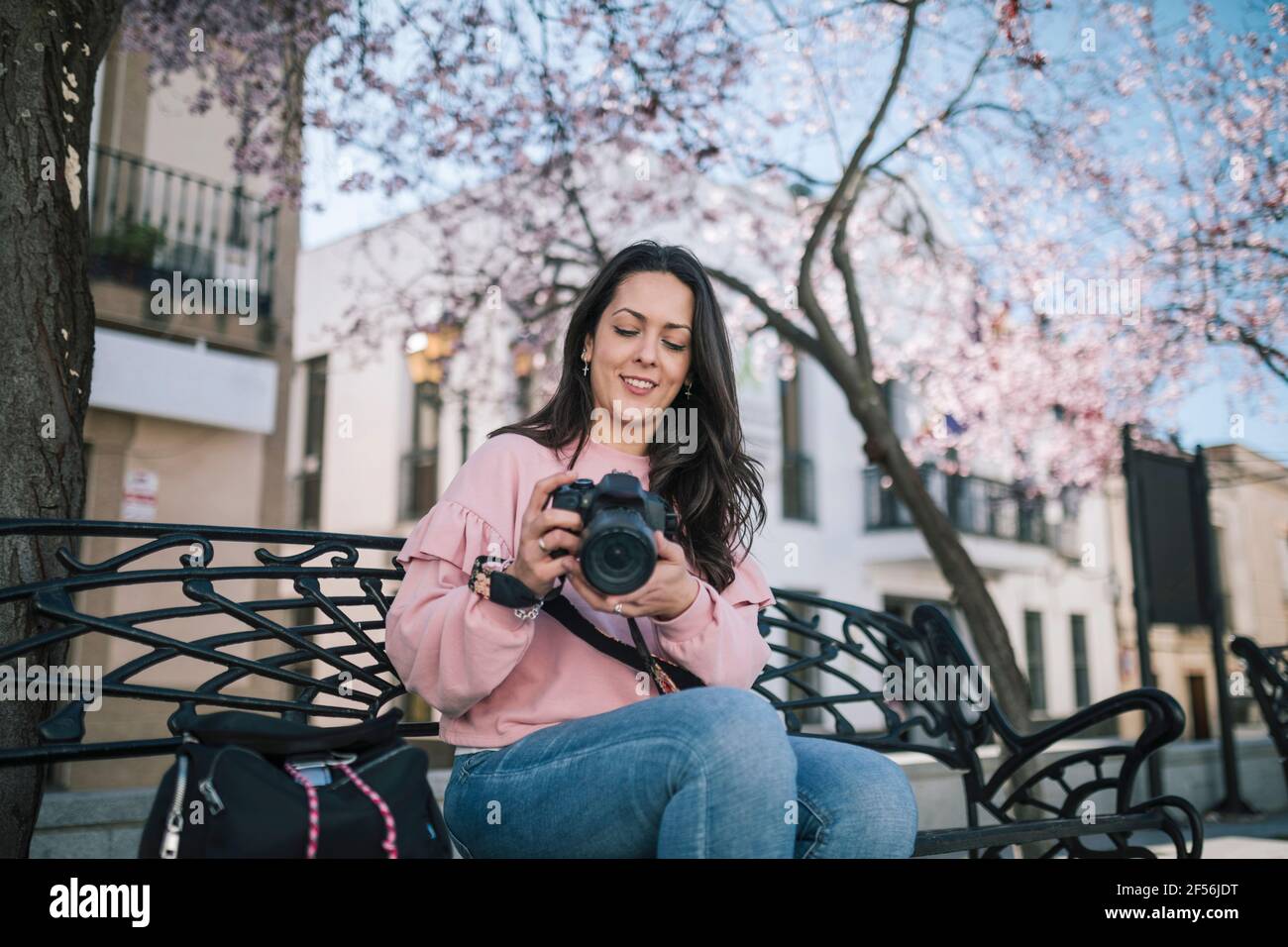 Mid adult woman holding camera while sitting on bench by tree Stock ...