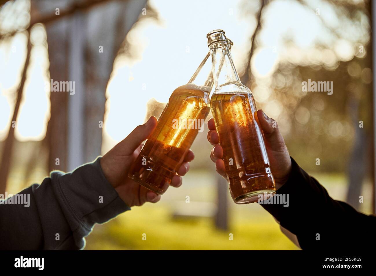Two people toasting beer hi-res stock photography and images - Alamy