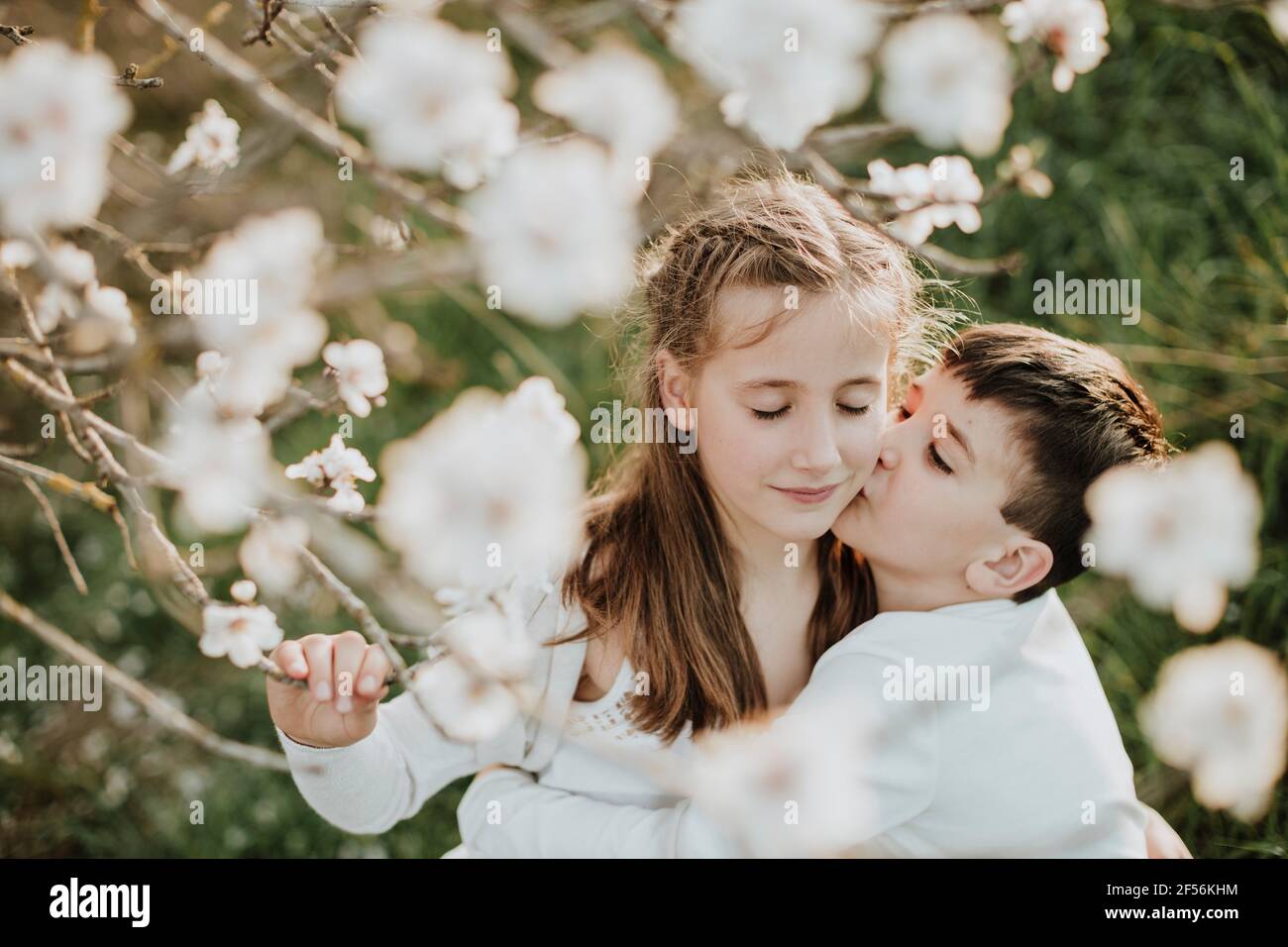 Sister kissing brother hi-res stock photography and images - Alamy