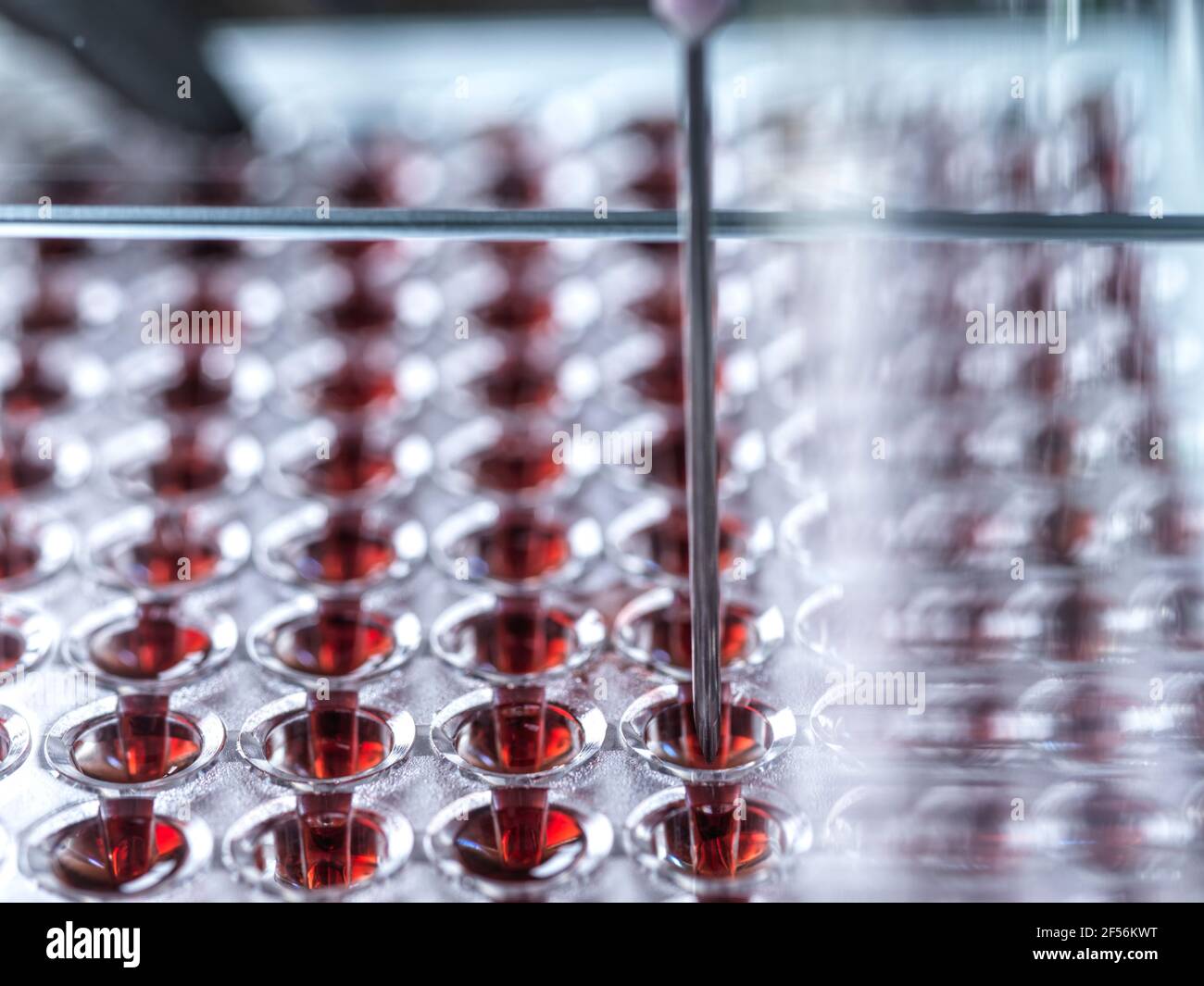 Blood samples held in multi well plate ready for testing in lab Stock ...