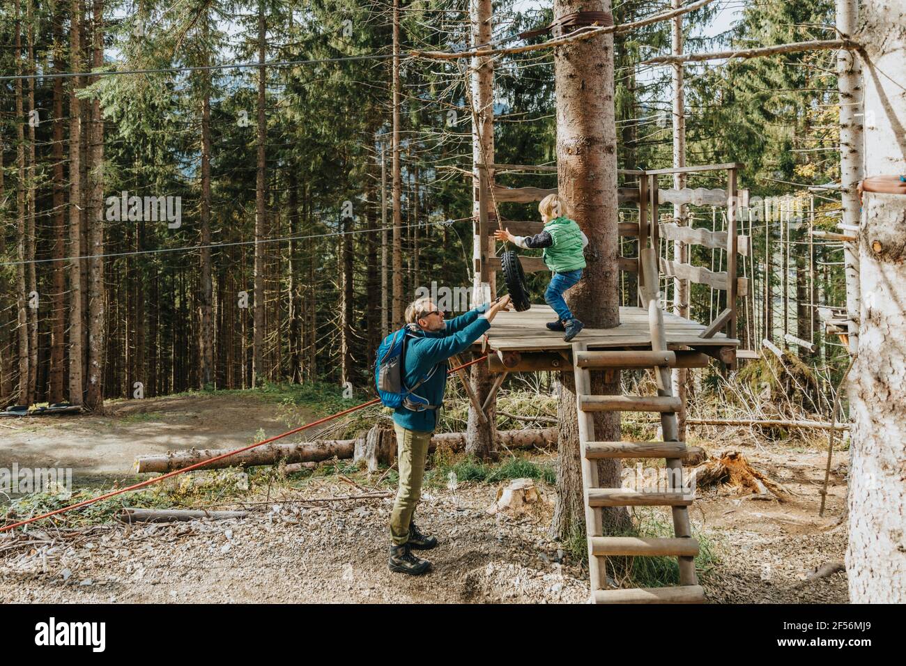 Boy doing high rope course forest salzburger land hi-res stock ...