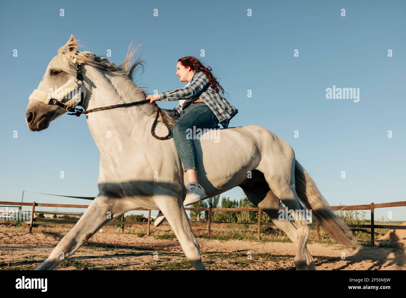 Equestrian woman hi-res stock photography and images - Alamy