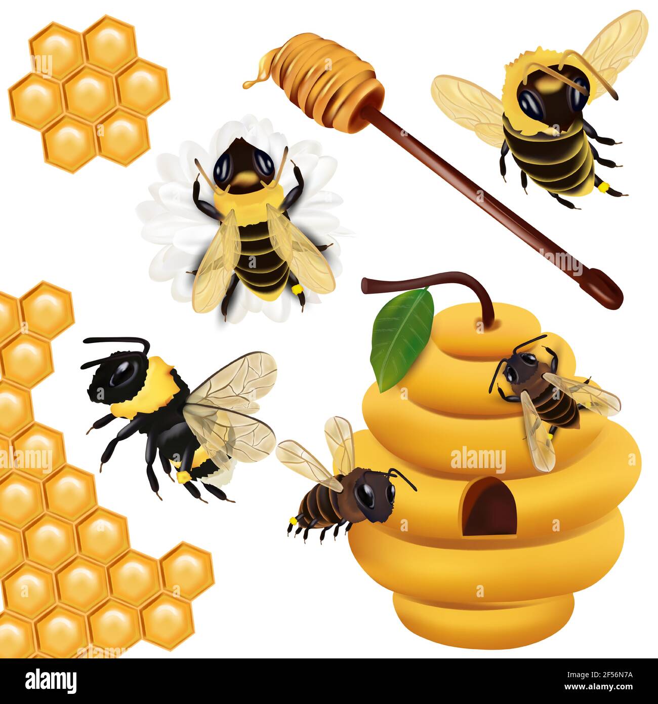 Set Honey bee, wasp, bumblebee, honeycomb, beehive, honey dipper with ...