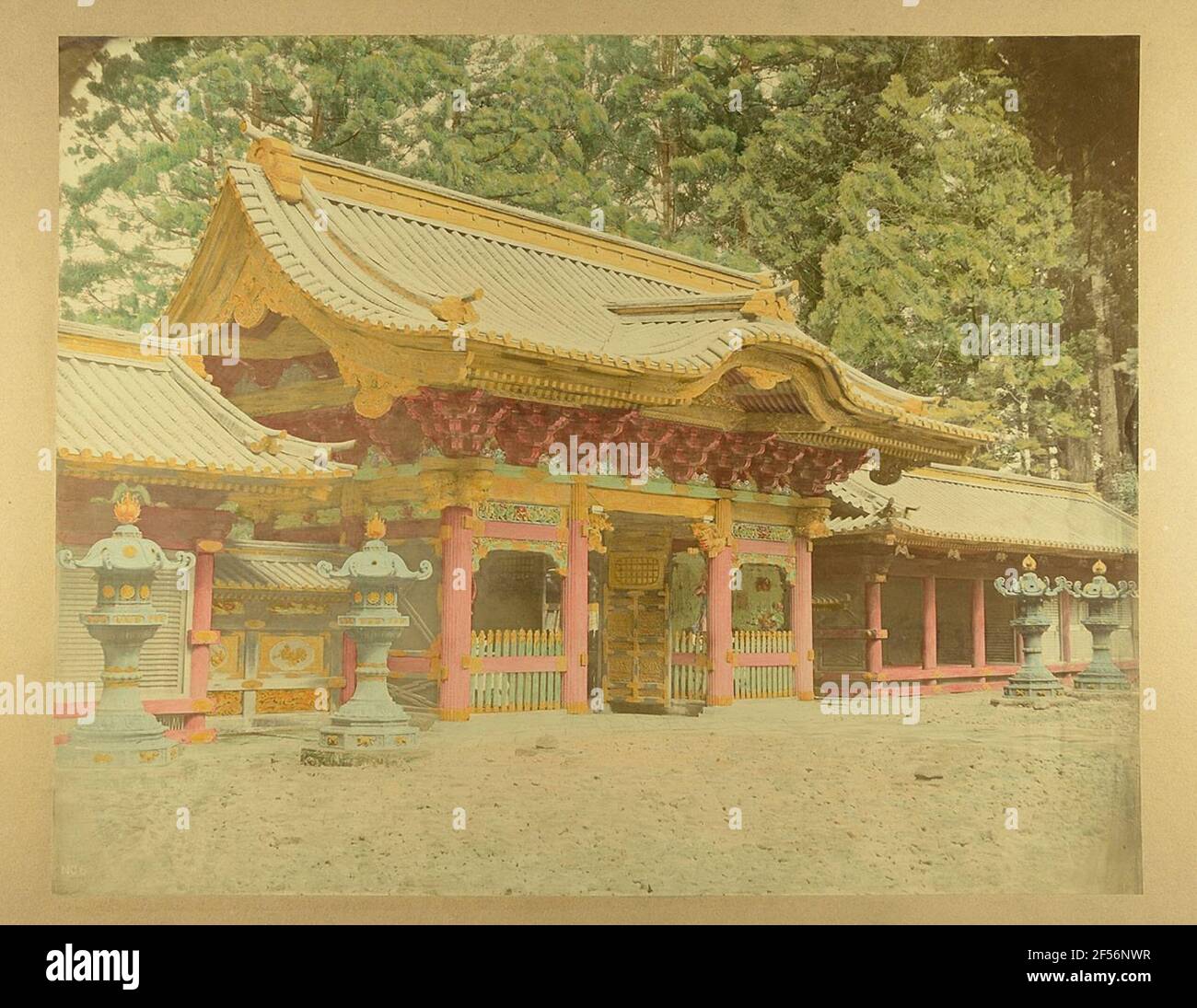 Temple plant, Nikko Stock Photo - Alamy