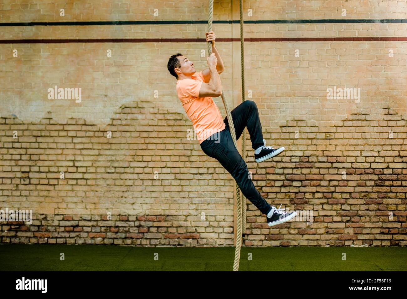 Man climbing on rope by brick wall at gym Stock Photo - Alamy