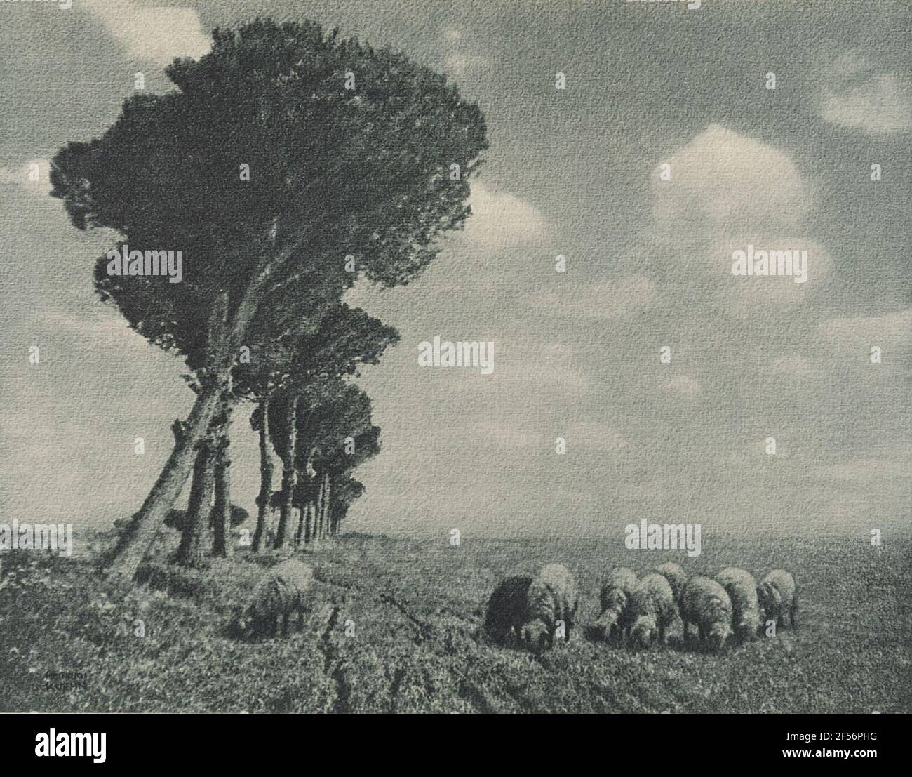 Campagna di roma hi-res stock photography and images - Alamy