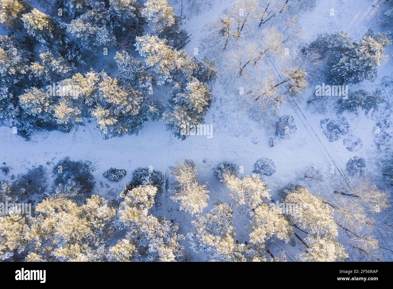 Birds eye view snow tree hi-res stock photography and images - Alamy