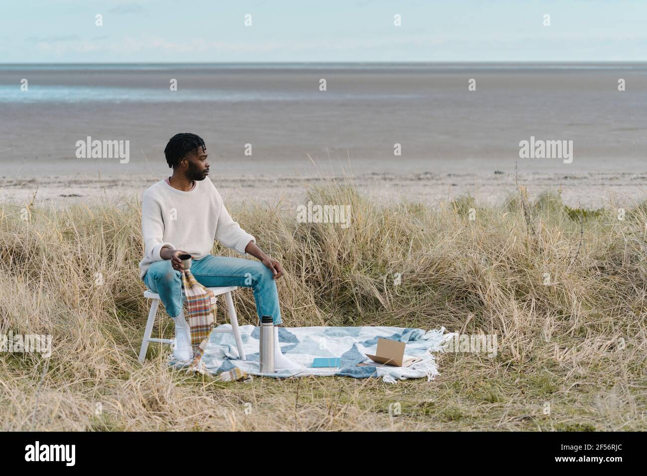 Plants on beach hi-res stock photography and images - Alamy