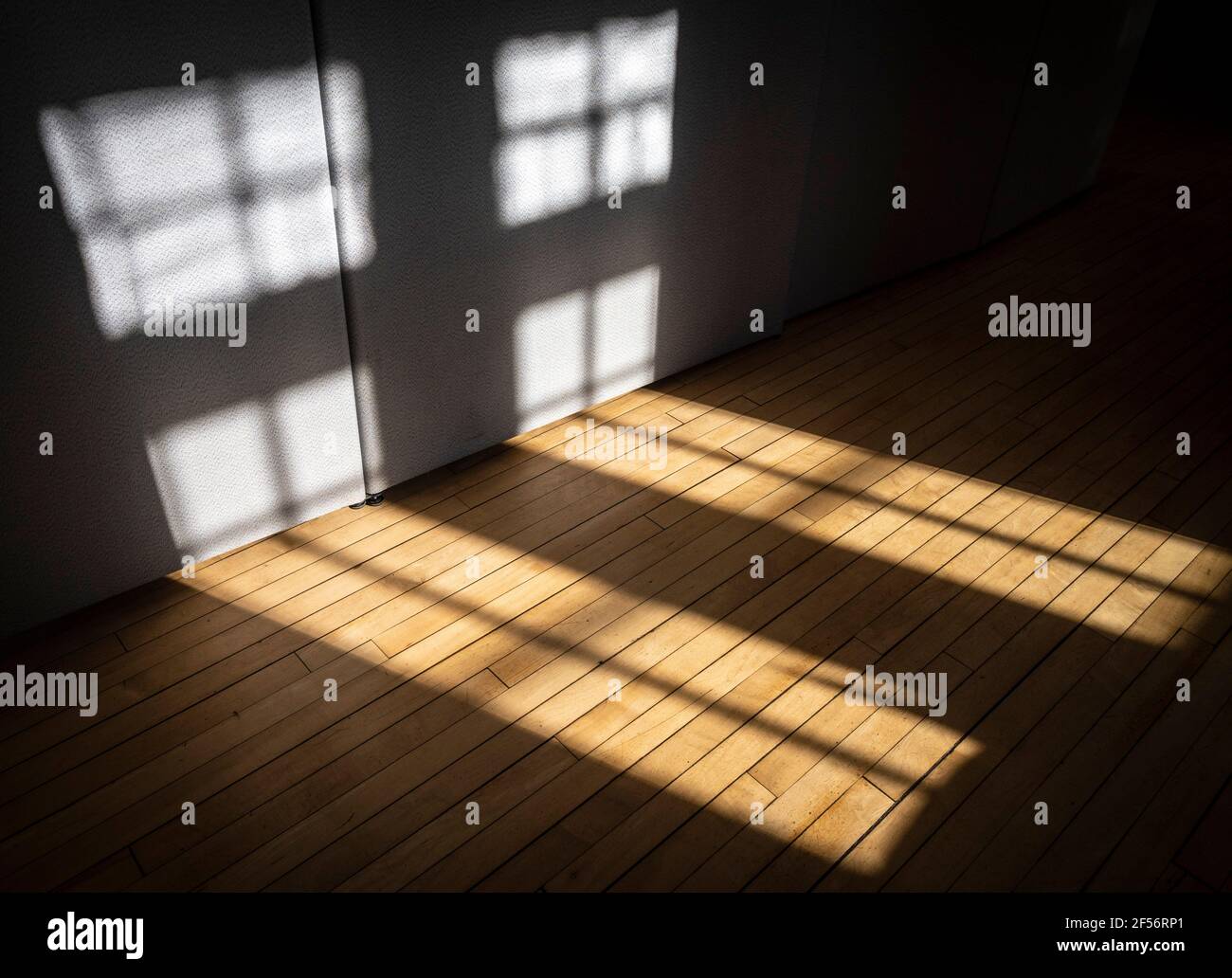 Shadow divider hi-res stock photography and images - Alamy