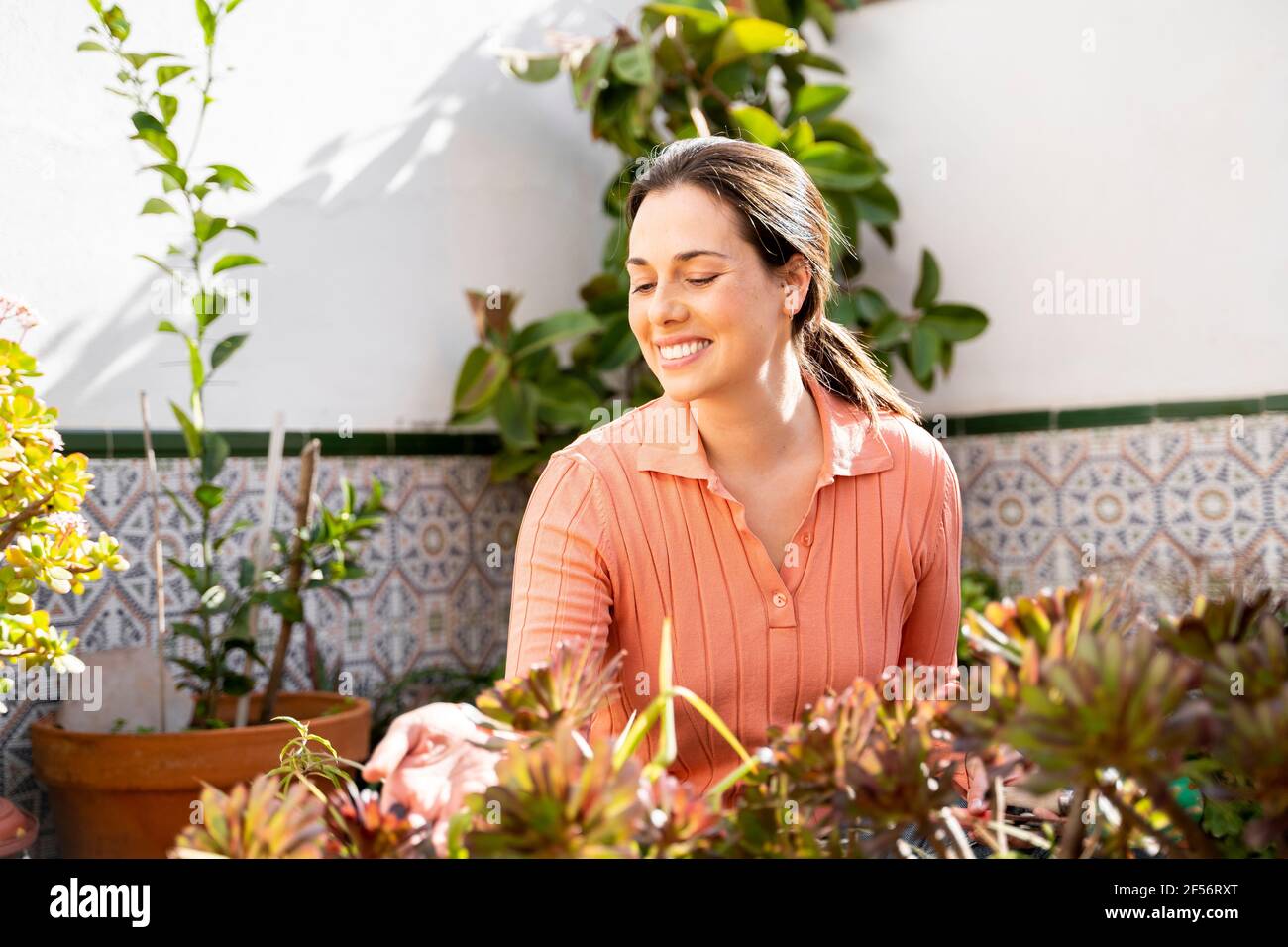 Woman touching plants hi-res stock photography and images - Alamy