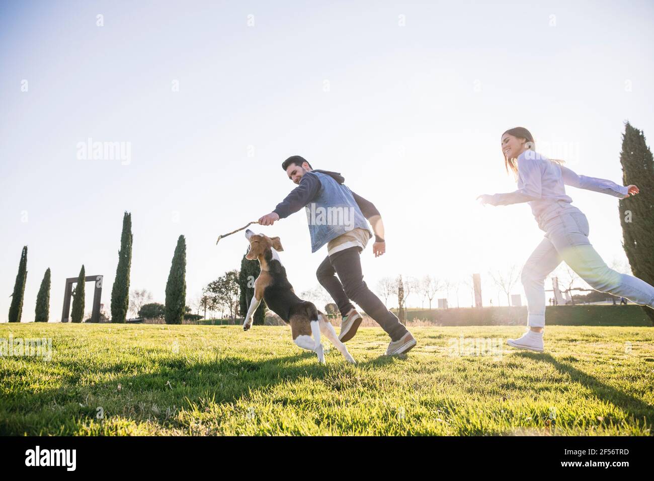 Mid adult couple playing with dog while running in park Stock Photo - Alamy