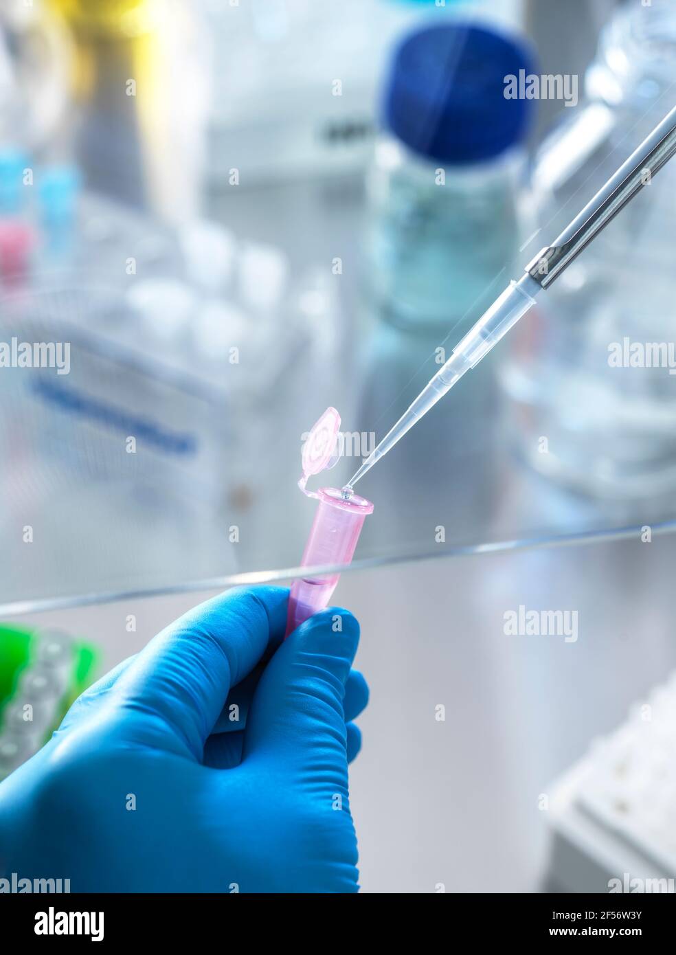 Sample preparation of dna hi-res stock photography and images - Alamy