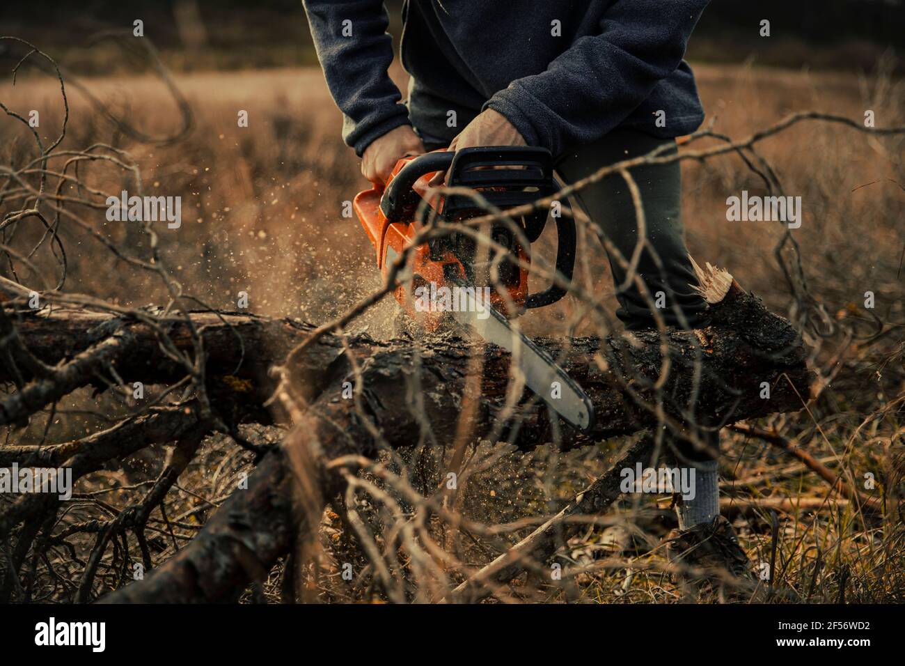 Teenage boy cutting tree trunk with chainsaw in forest Stock Photo - Alamy