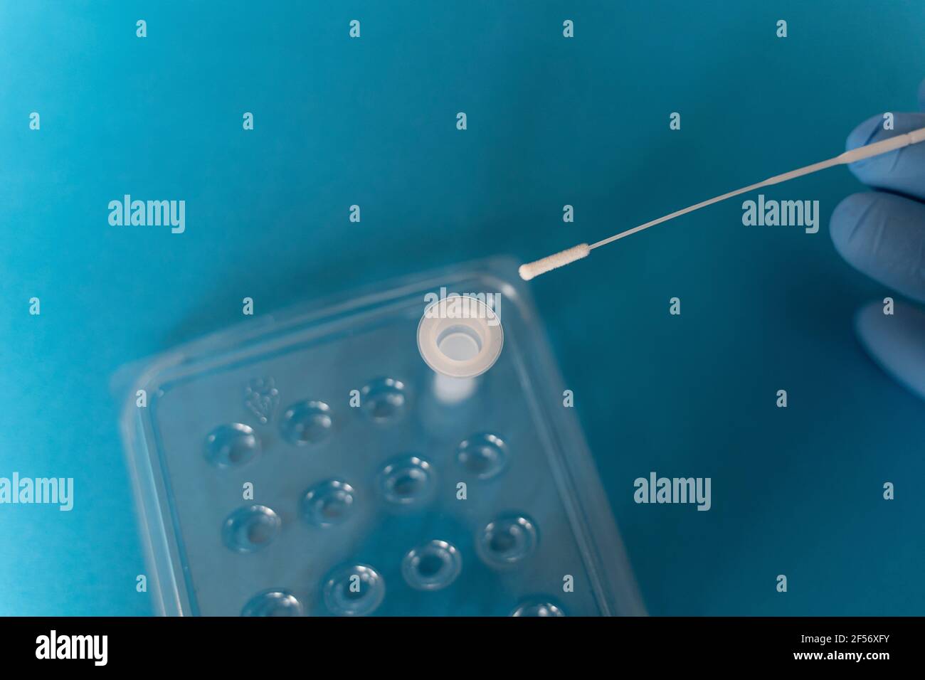 Rapid diagnostic test hi-res stock photography and images - Alamy