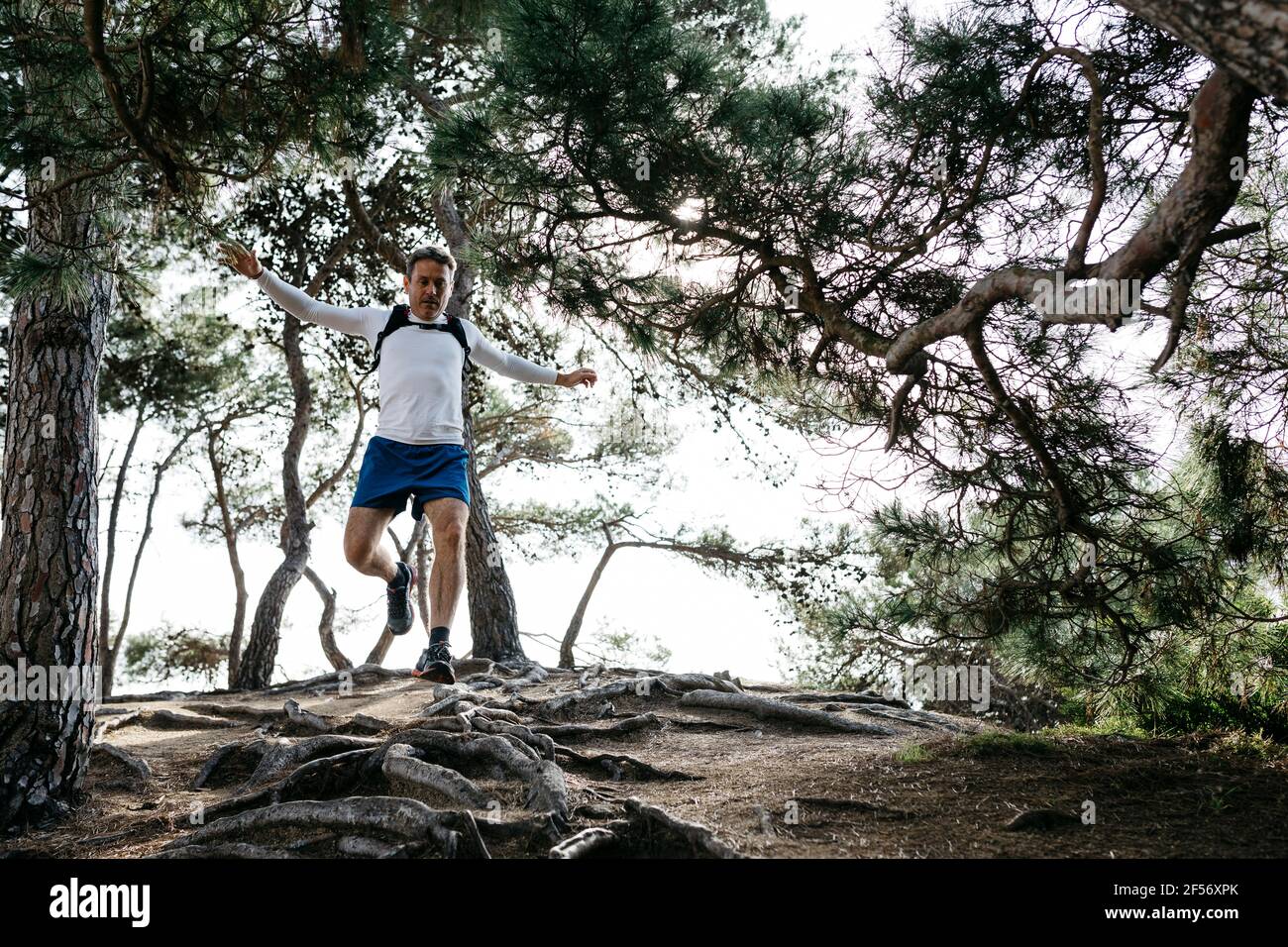 Male runner jumping over roots while running in forest Stock Photo - Alamy