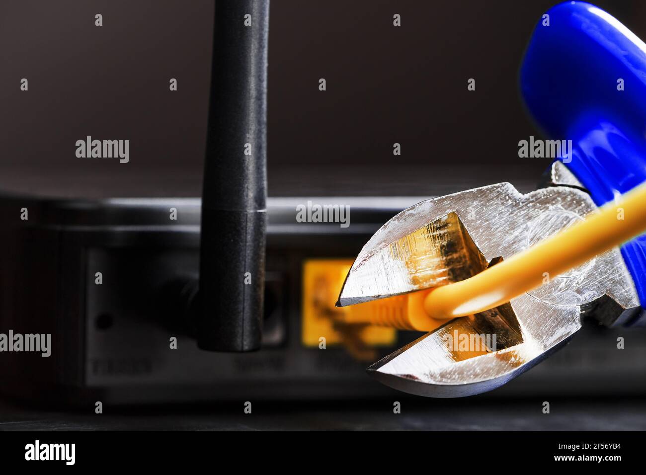 Tearing and cutting with blue wire cutters the network connection of ...