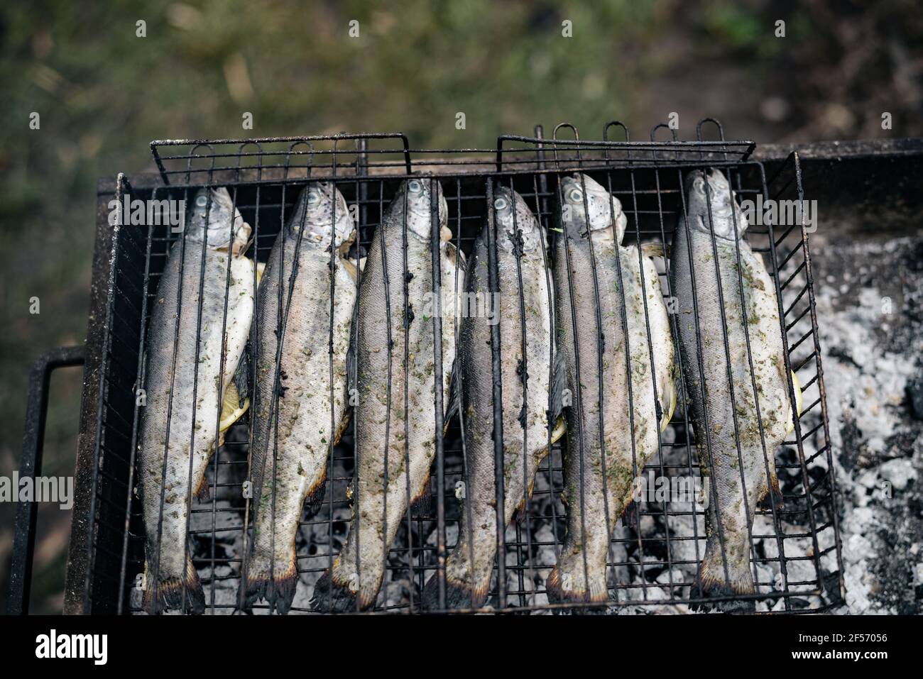 A picnic in the woods and grilled dried fish on the grill close-up ...