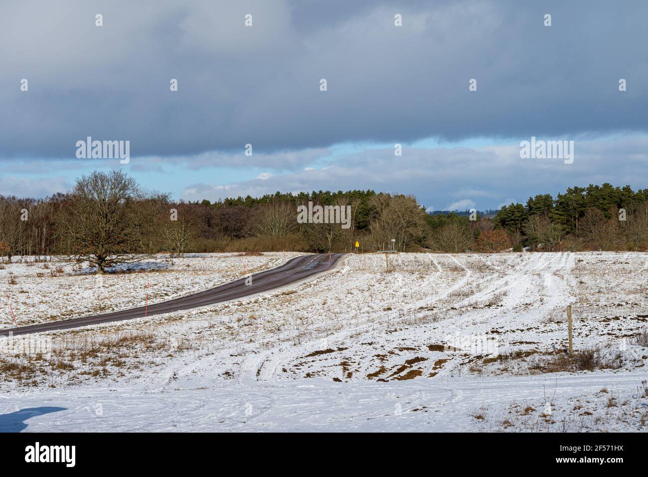 A picture of a moor on a crispy cold winter day. Picture from Lund ...