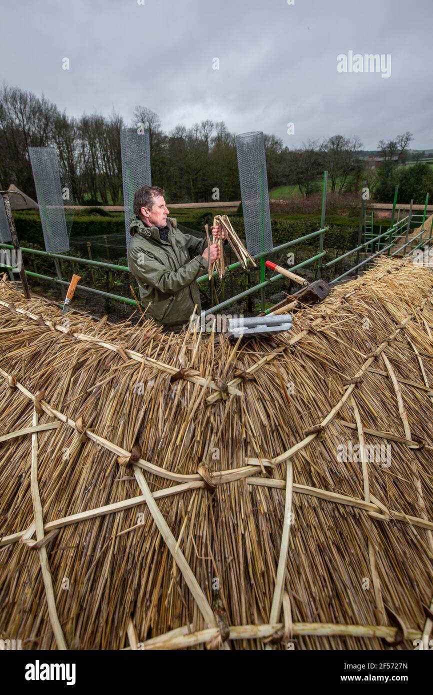 Adam nash hi-res stock photography and images - Alamy