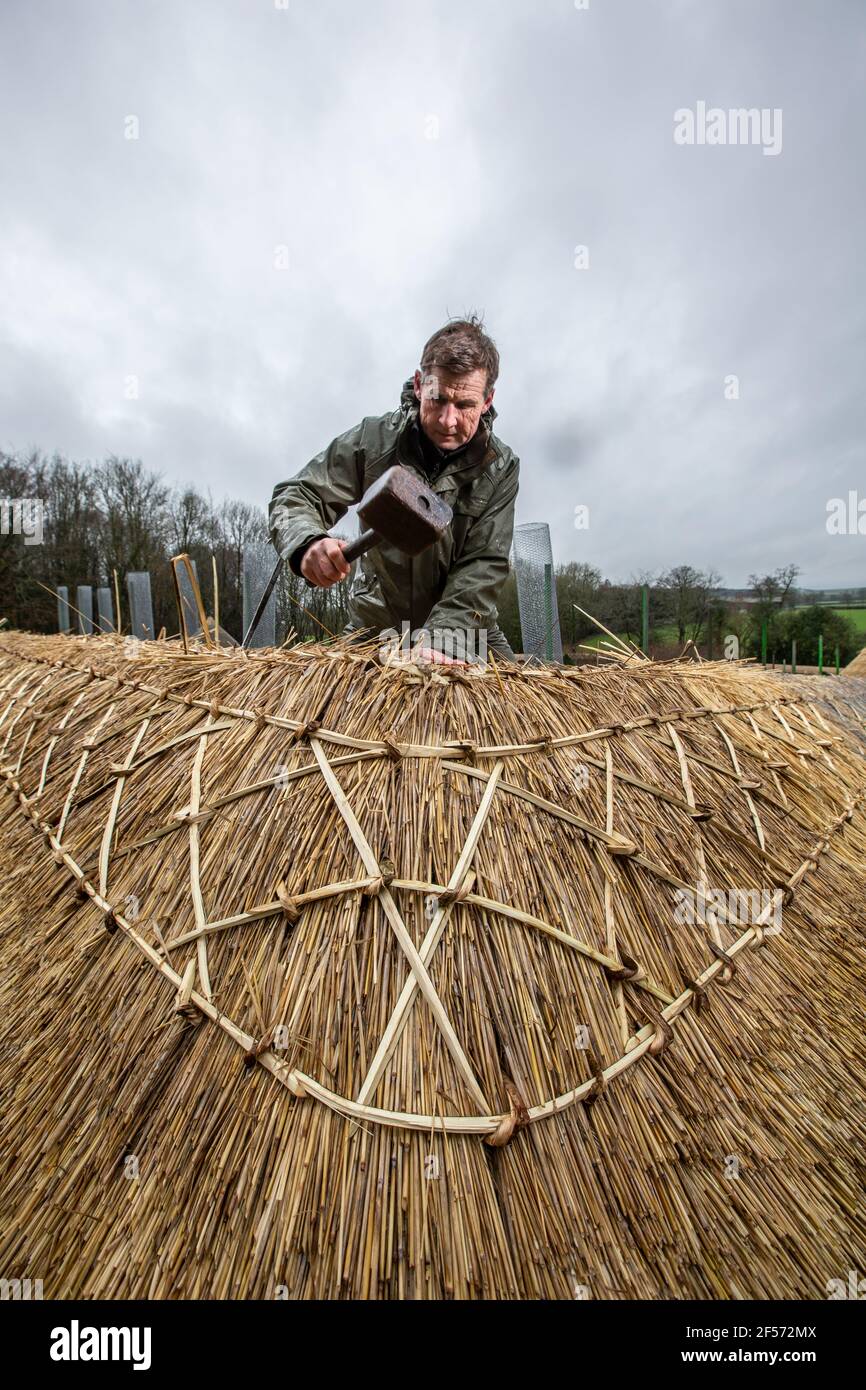 Hazel spars hi-res stock photography and images - Alamy