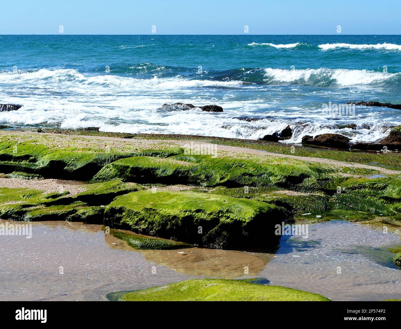 Algae on the stones hi-res stock photography and images - Alamy