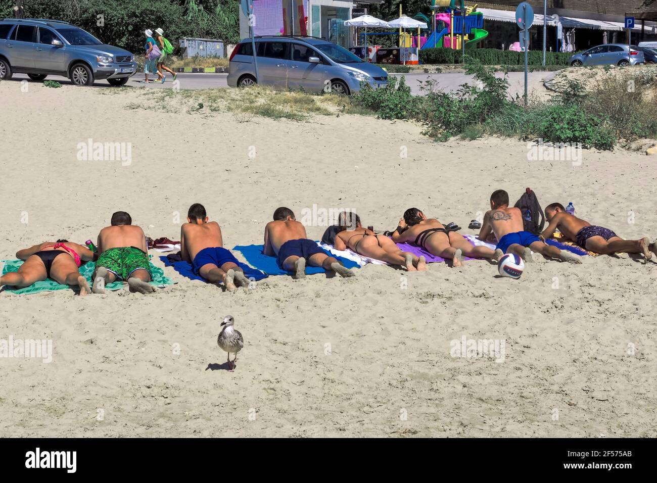 Teenagers sunbathing hi-res stock photography and images - Alamy