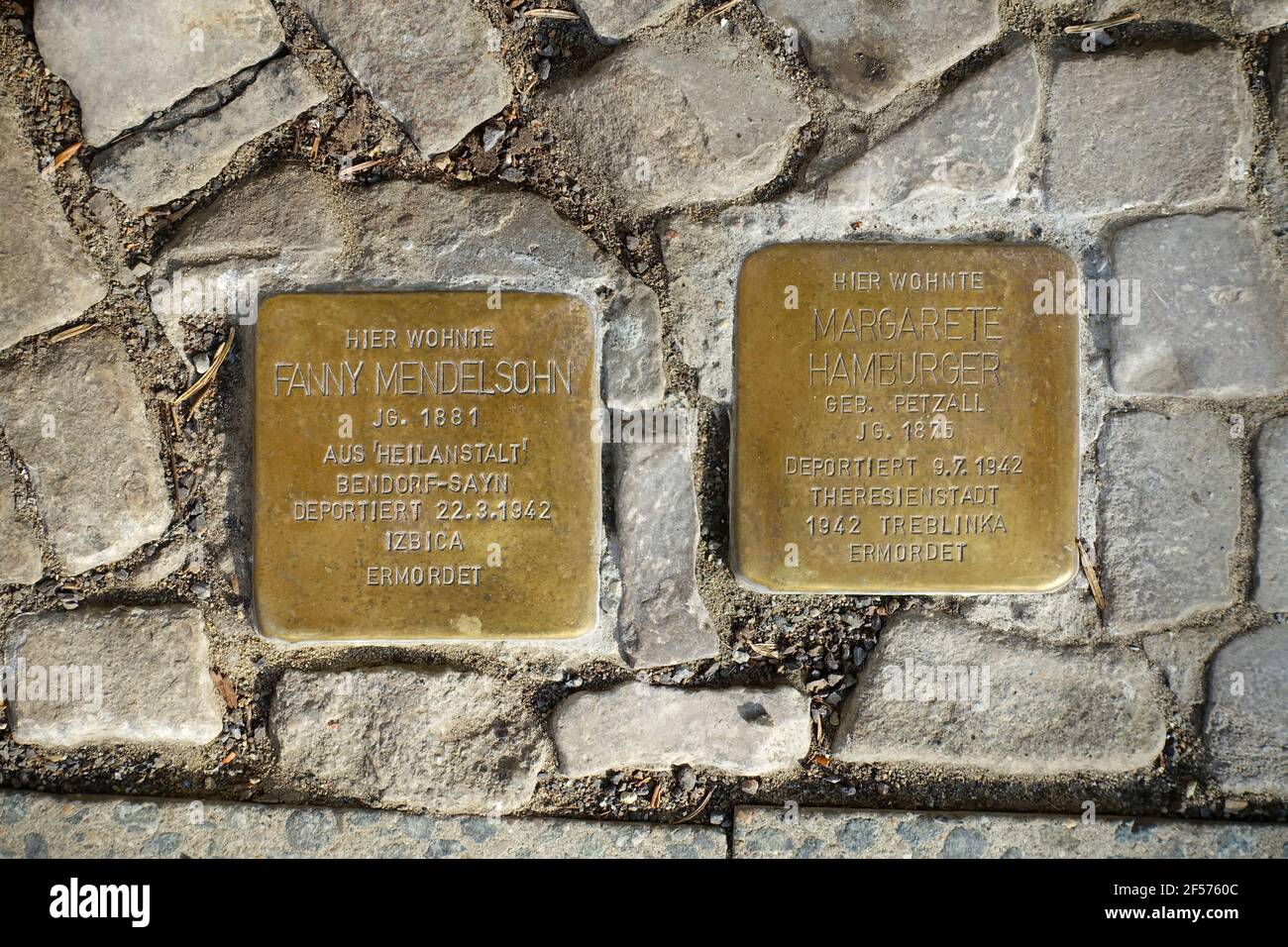 Stolpersteine stumbling blocks in pavement hi-res stock photography and ...