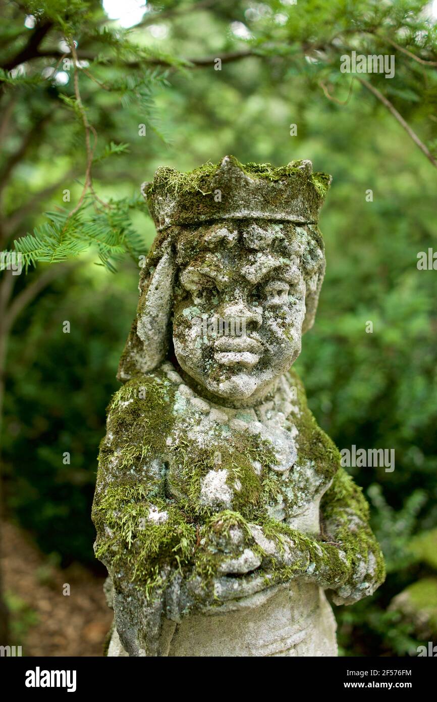 Overgrown gardens hi-res stock photography and images - Alamy