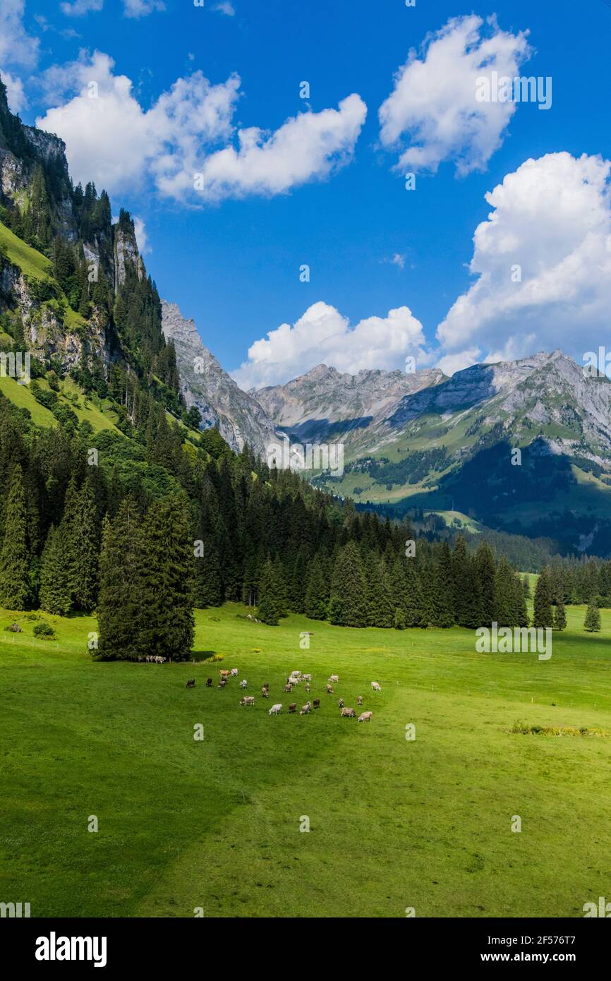 Titlis spring hi-res stock photography and images - Alamy