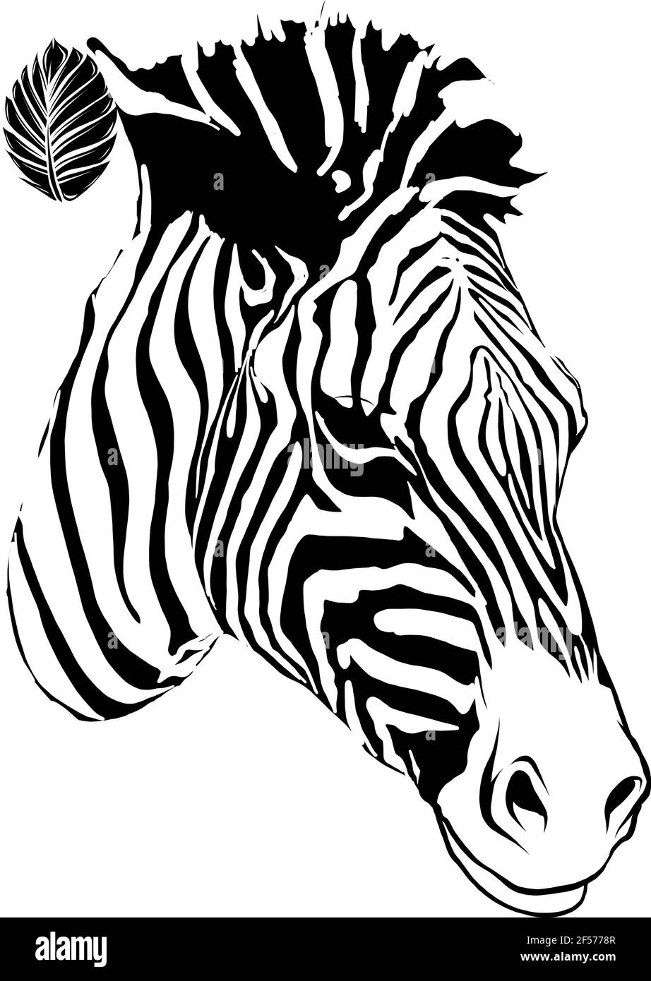 Face strips Black and White Stock Photos & Images - Alamy