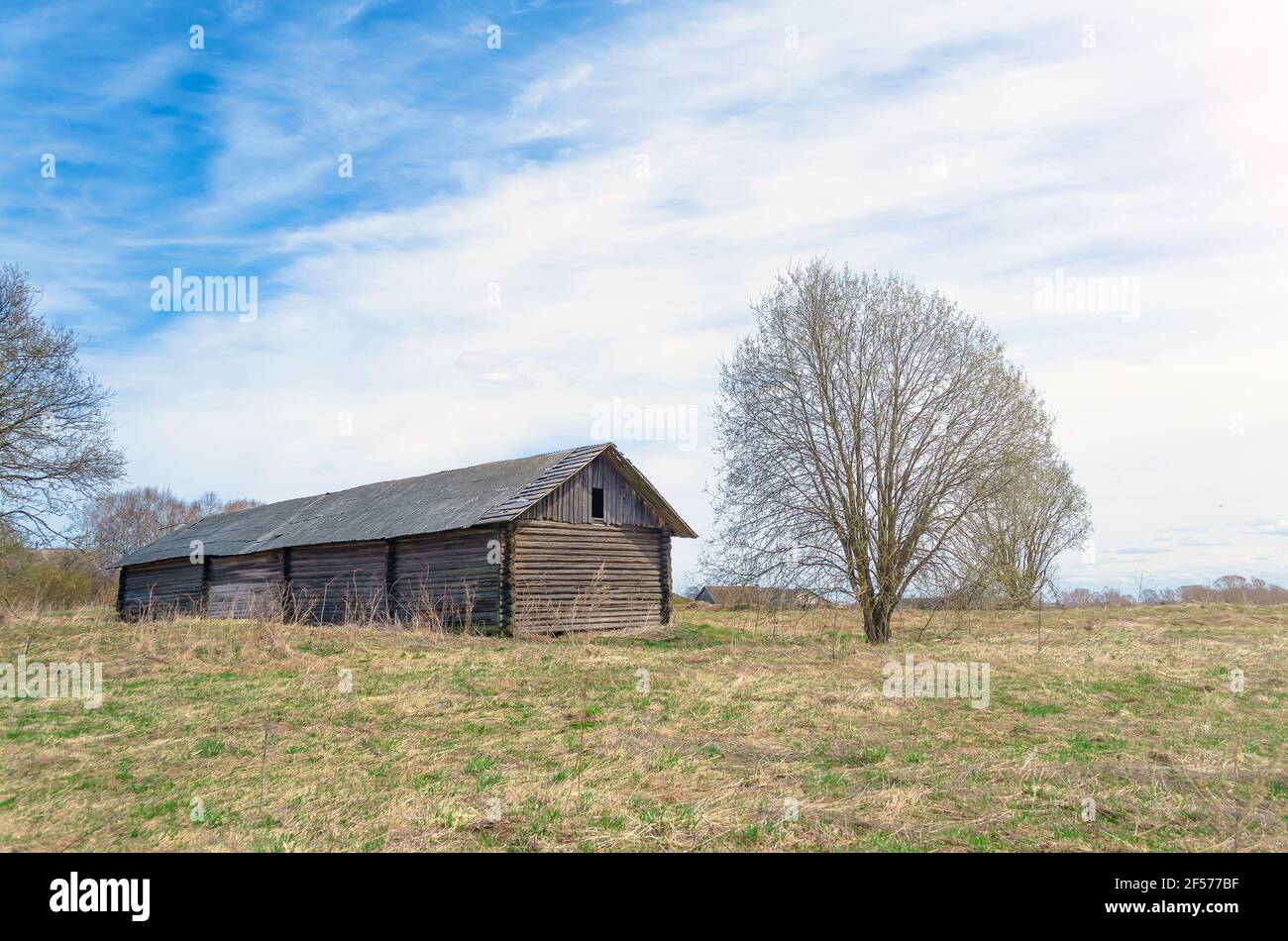 Old barn with tree hi-res stock photography and images - Alamy