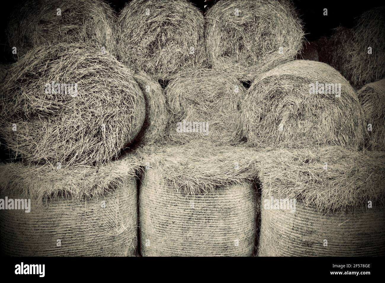 Large round bales of hay that are stacked at a farm Stock Photo - Alamy