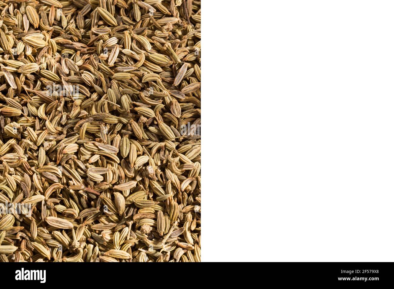 Foeniculum vulgare - Dry organic fennel seeds. Text space Stock Photo ...