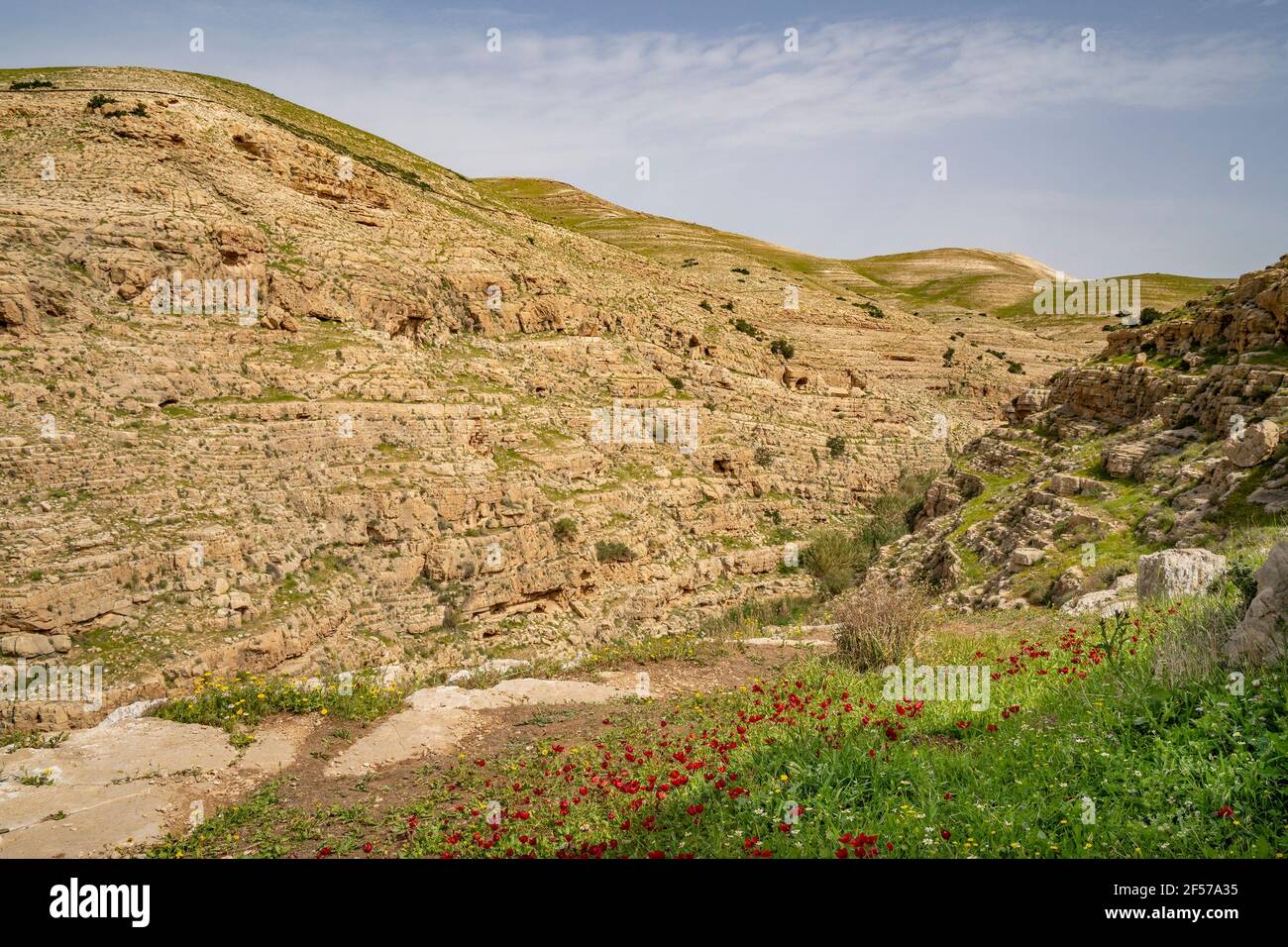 Judea hills hi-res stock photography and images - Alamy