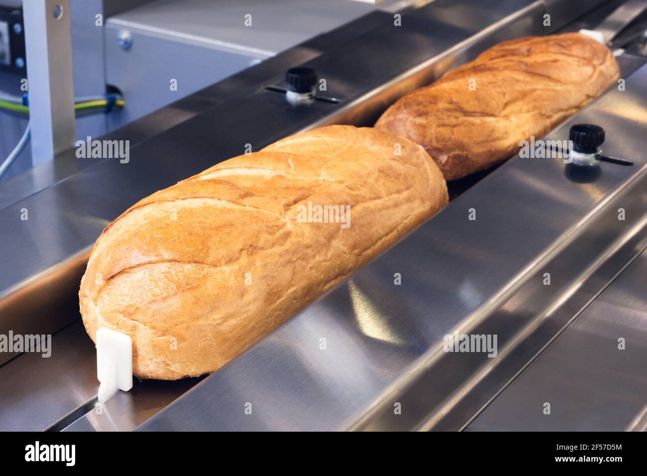 Automated production line bakery Fresh hot baked breads Stock Photo - Alamy