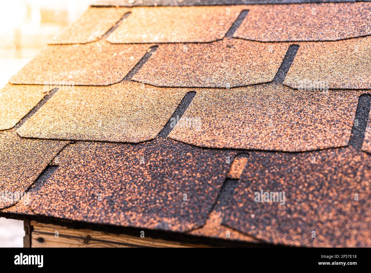 The kennel is covered with brown bituminous shingles in the sunlight ...