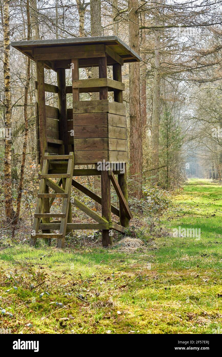 Wooden lookout tower for hunting in spring Stock Photo - Alamy