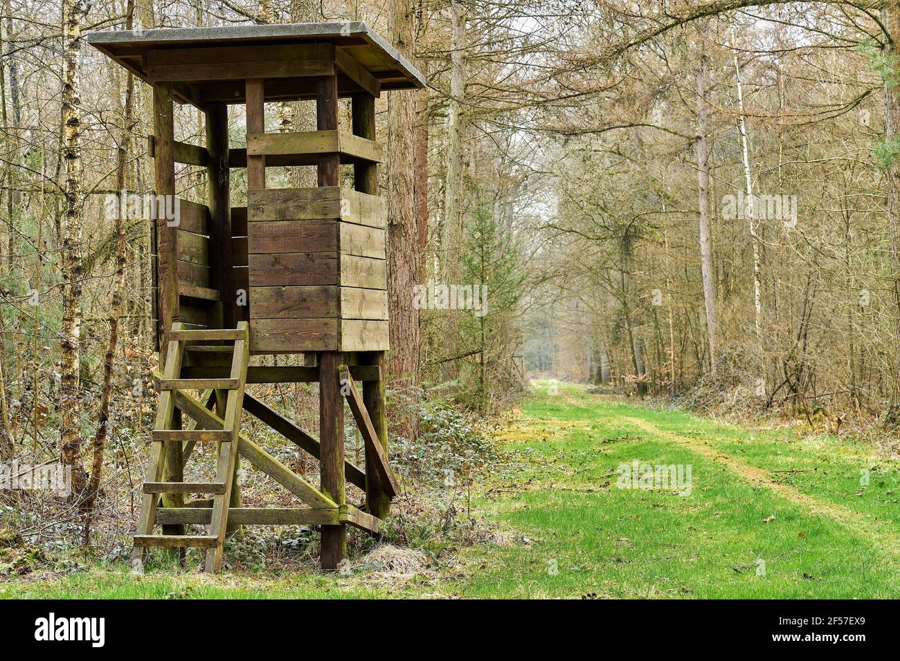 Wooden lookout tower for hunting in spring Stock Photo - Alamy