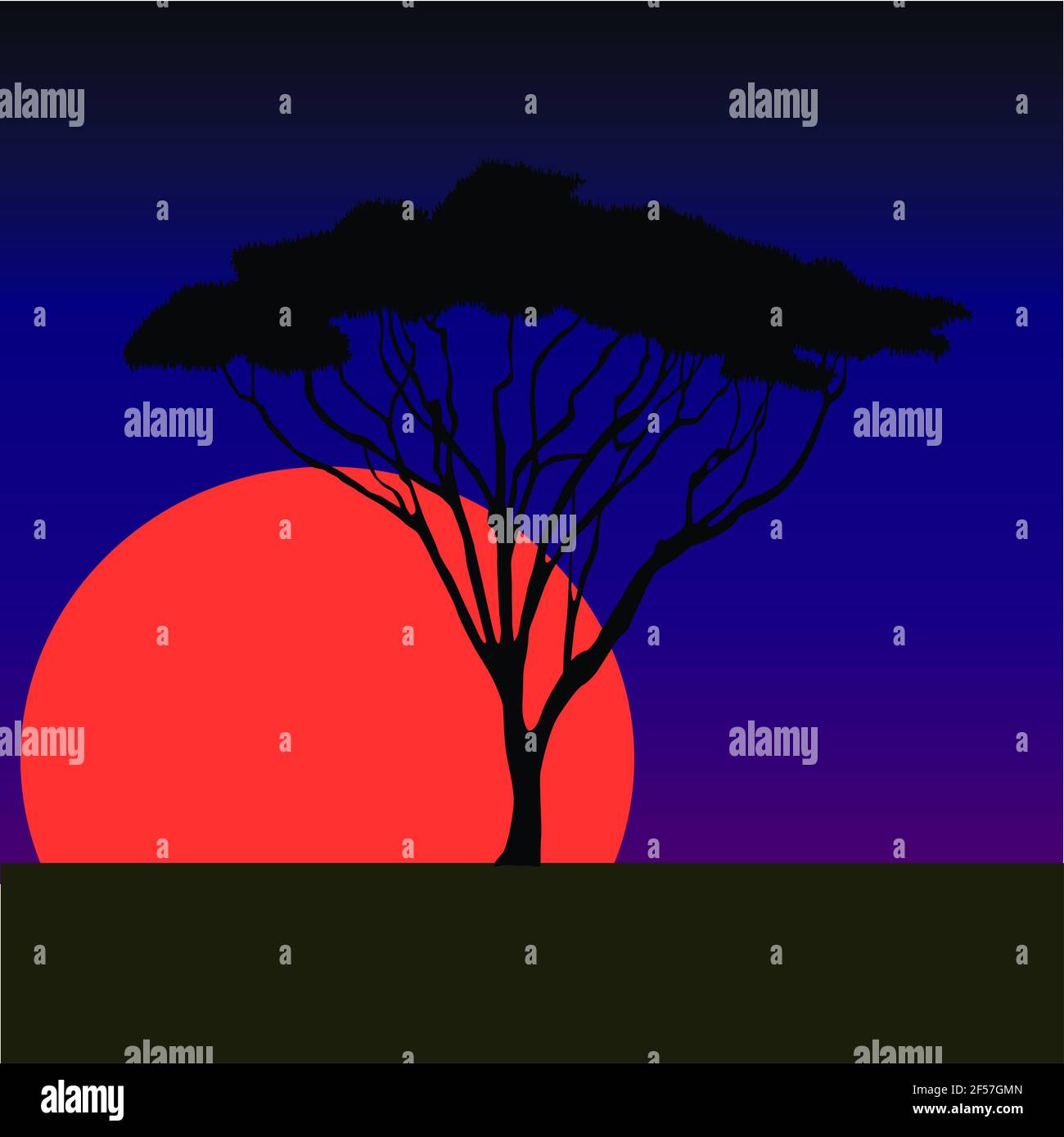 Beautiful sunset scene with tree Stock Photo - Alamy