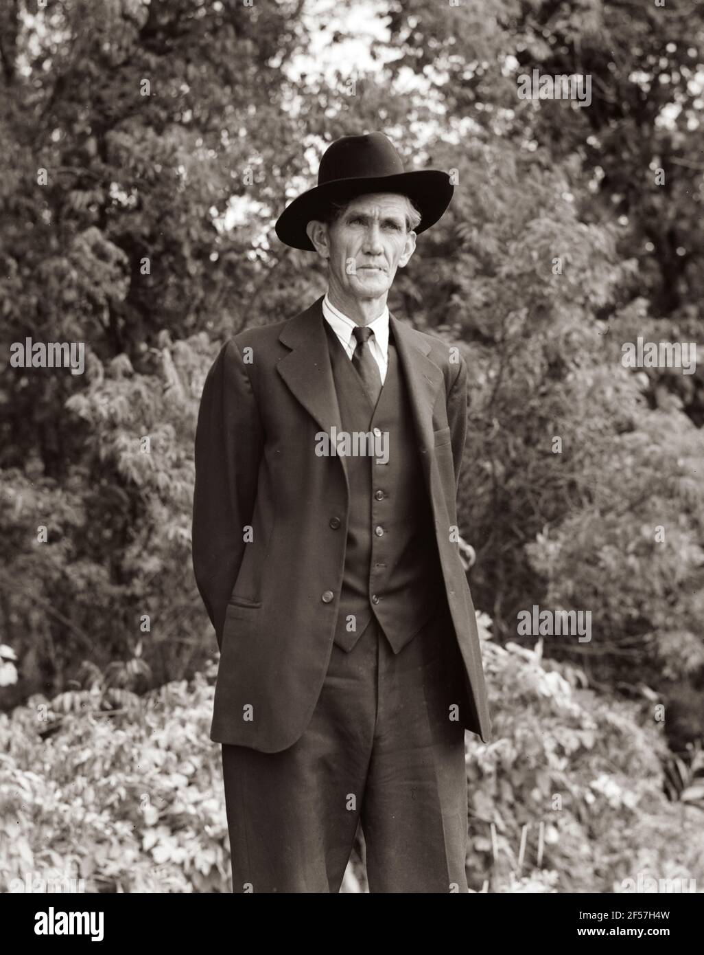 That distinct American frontier type known as the Abe Lincoln variety ...