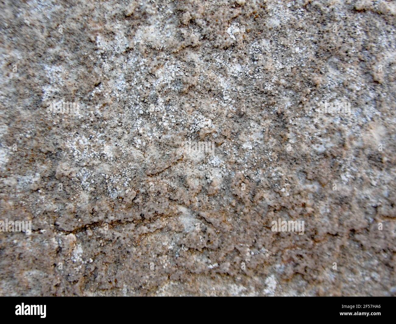 Background of stone wall texture photo, natural stone texture Stock ...